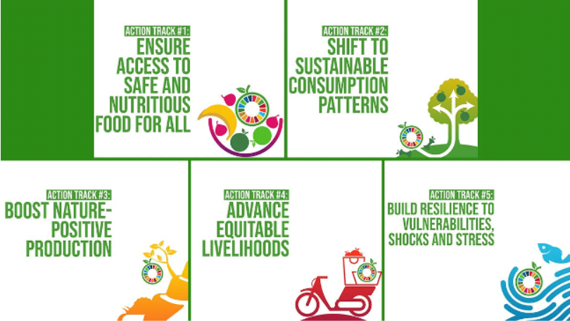 “Zero waste and zero hunger": come rendere resilienti i sistemi ...