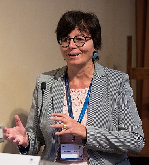 Tra ricerca e gender balance: parla Maria Chiara Carrozza, la prima ...